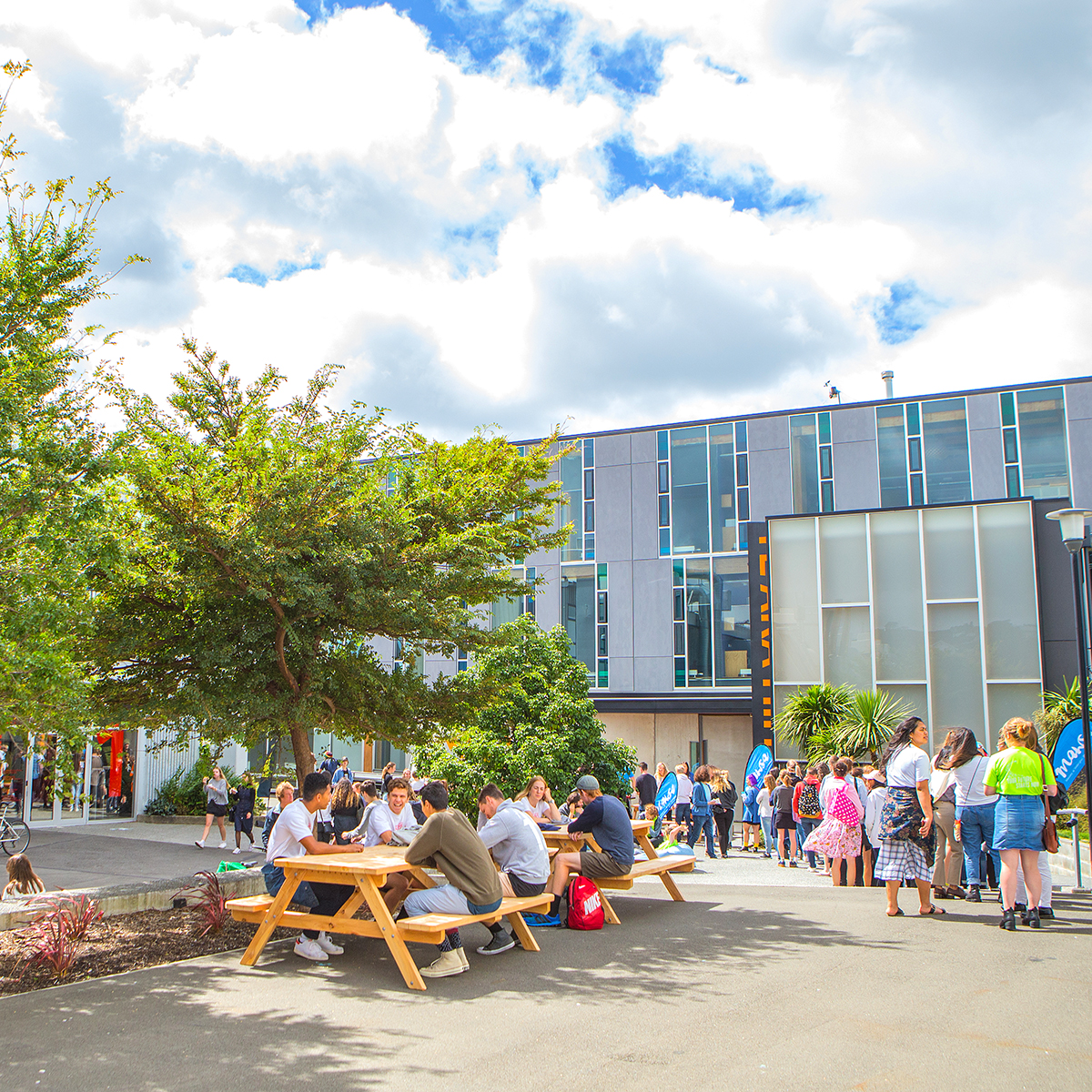 Toi Rauwhārangi, College of Creative Arts, Massey University Wellington